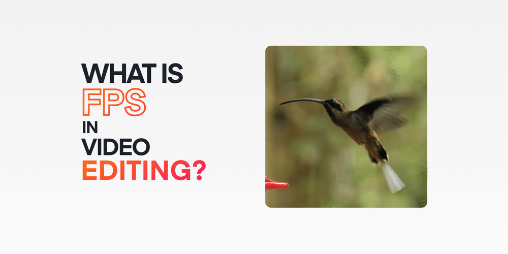 Everything You Need to Know About FPS in Video Editing - Animotica Blog