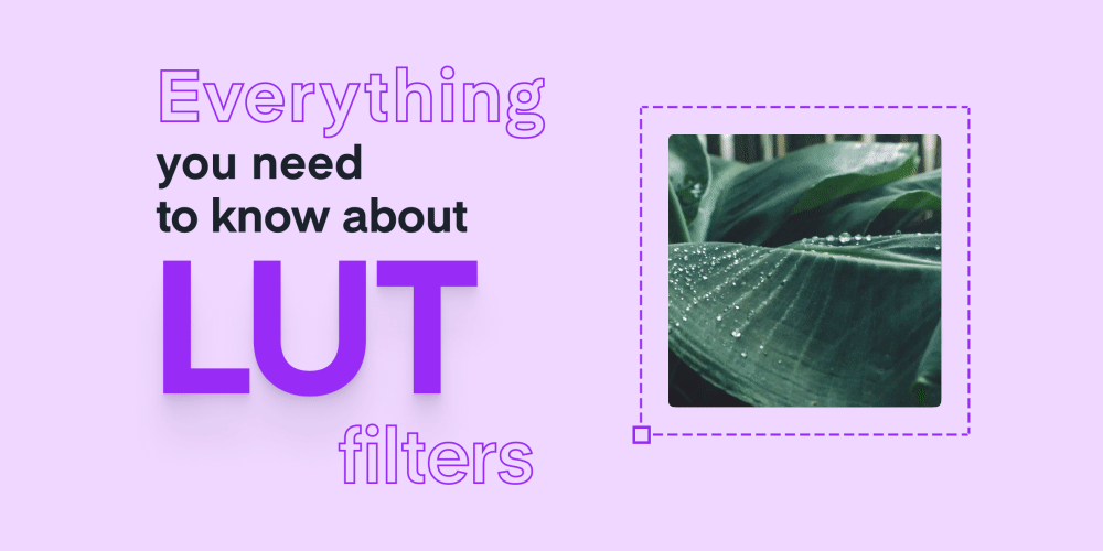 How to Do Color Grading in Windows 10/11 Using 3D LUT Effects ...