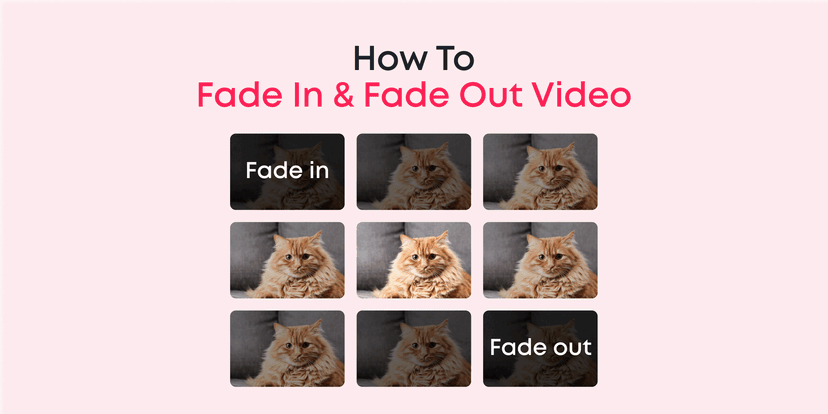 How To Fade-In/Out Your Video On Windows - Animotica Blog